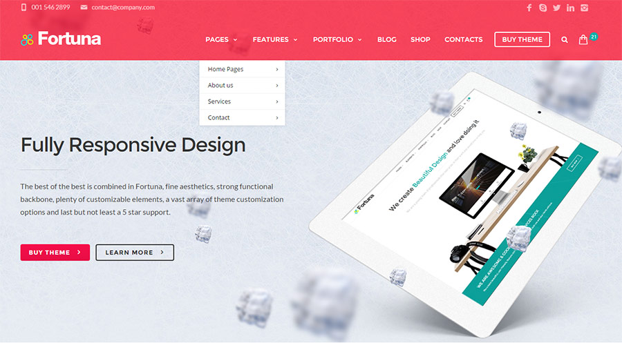 Features Overview | Dreamula